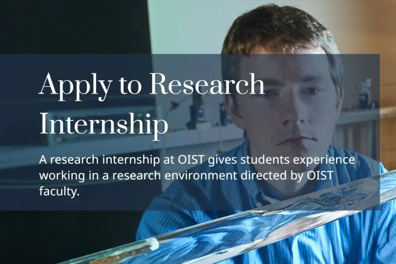 OIST Research Internship 2026 in Japan (Fully Funded)